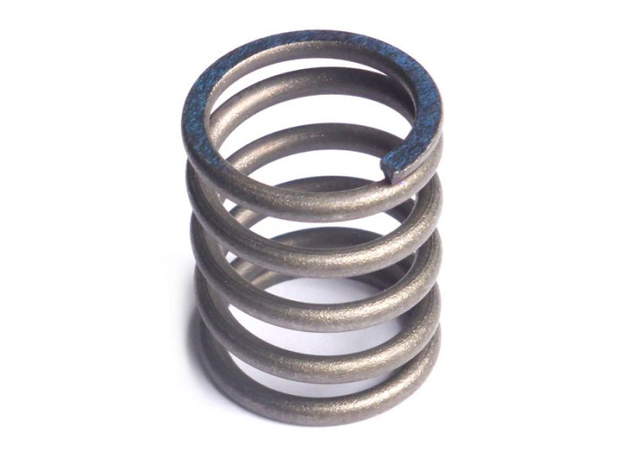 Valve spring outer